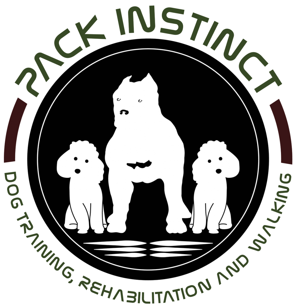 Pack Instinct Dog Training Marbella - Bringing Dogs Back to Balance
